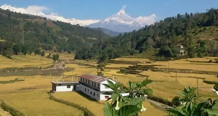 Syangja District: Exploring Gandaki's Gem